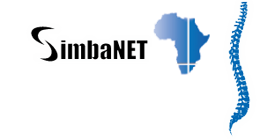 Corporate Internet Connectivity - SimbaNet